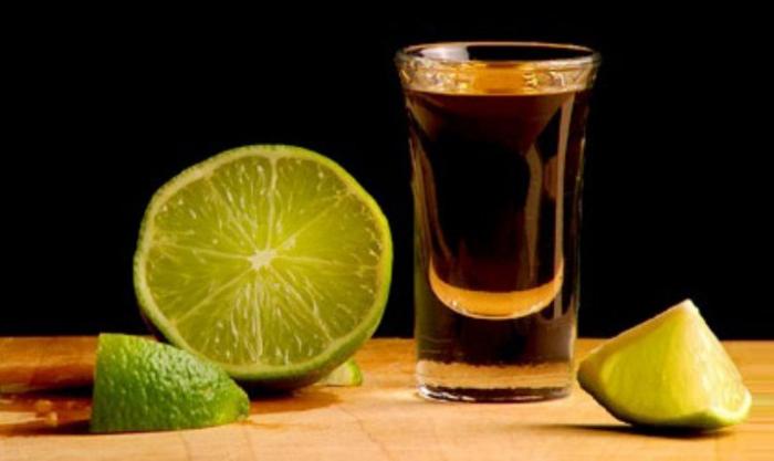 Things You Should Know about....Tequila | Latinolife